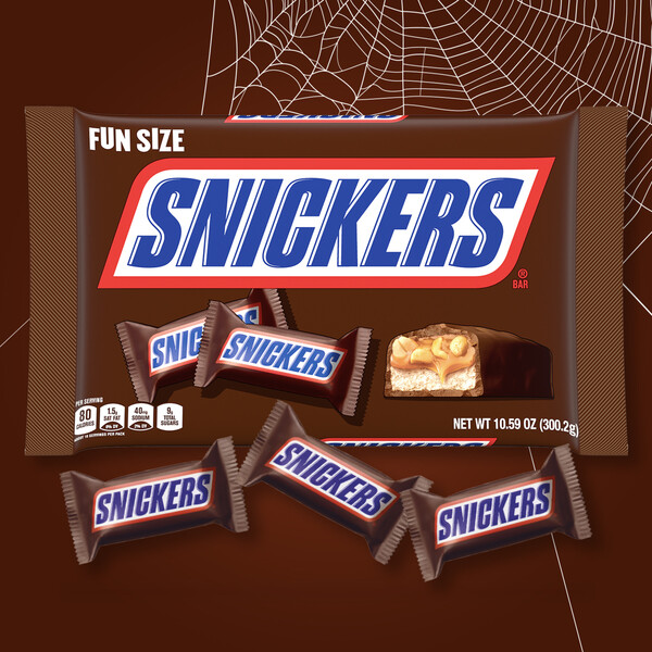 Snickers Peanuts Caramel Milk Chocolate Candy Bars Fun Size 10.5 oz bag Food Lion